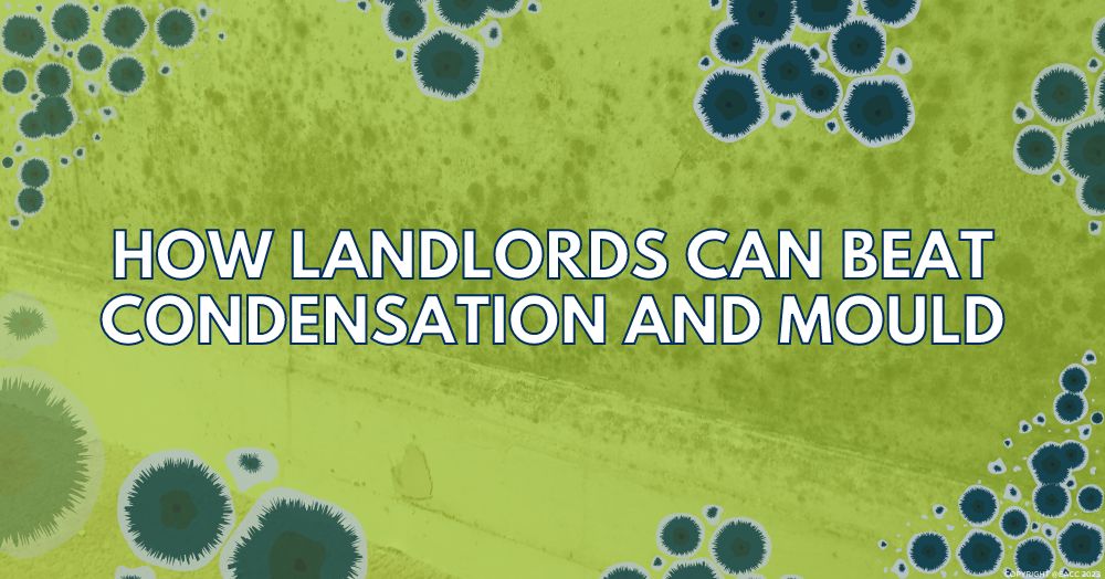 What Torquay Landlords Need to Know about Condensation and Mould