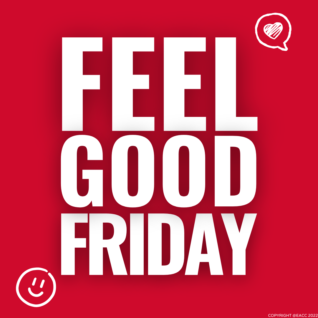 Making Torbay Friends for International Friendship Day